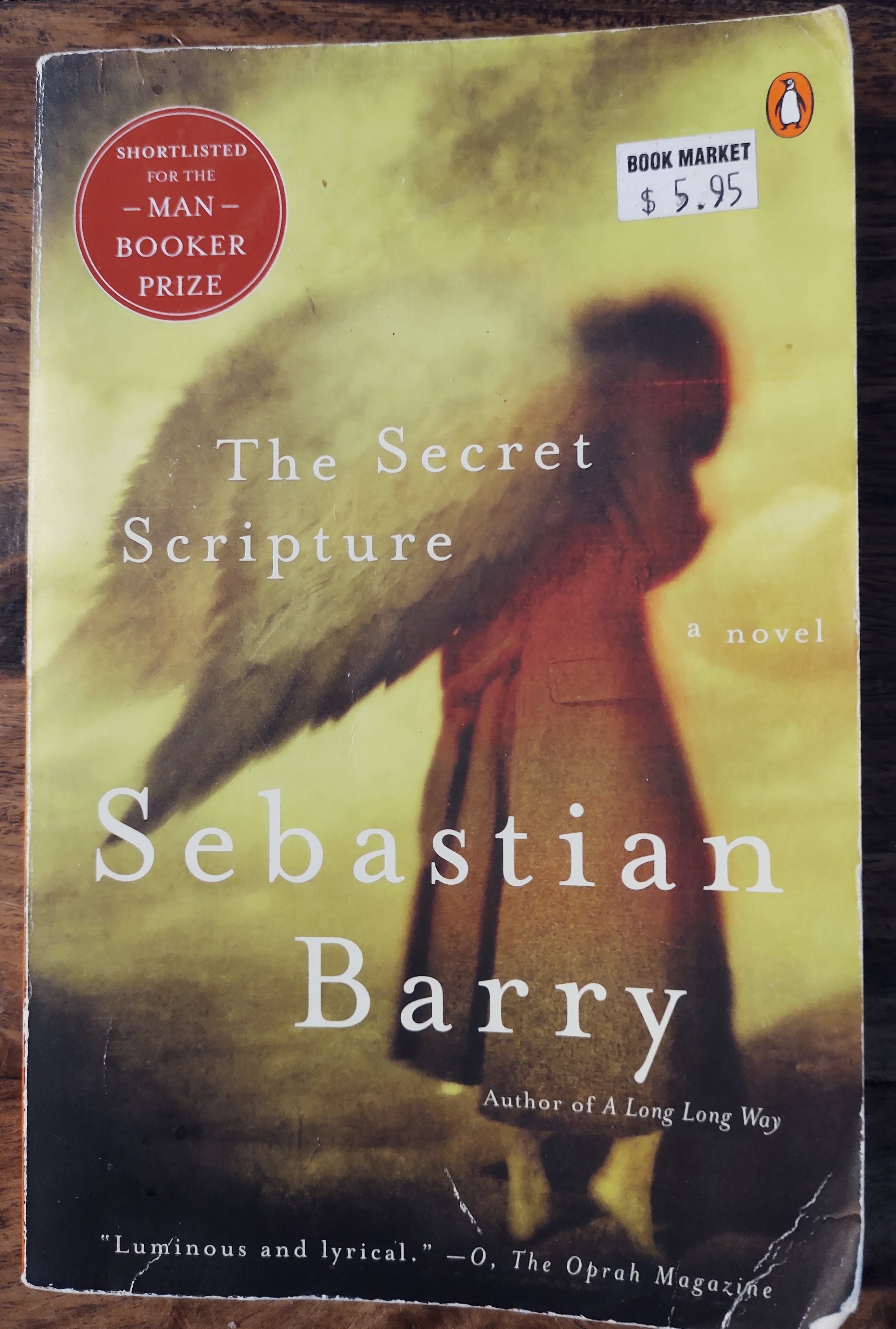 The Secret Scripture by Sebastian Barry – Scuffed Granny